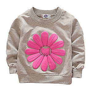 Avidqueen Toddler Baby Girls Sunflower Clothes Set Long Sleeve Top and Pants 2pcs Outfits Fall Clothes (Grey,Age 3T)