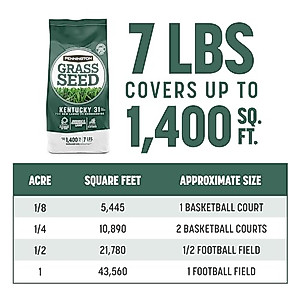 Pennington Kentucky 31 Tall Fescue Penkoted Grass Seed 7 lb