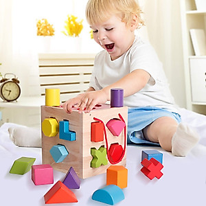 BESTAMTOY Shape Sorter Toy My First Wooden 12 Building Blocks Geometry Learning Matching Sorting Gifts Didactic Classic Toys for Toddlers Baby Kids 31 Years Old Up Fourteen Hole Toy