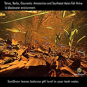 SunGrow Saver Bundle Pack - Catappa Leaves 10Pcs/Pack + Large Leaf Hammock