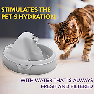 Aqua Flow Premium Pet Water Fountain - Automatic Dispenser Drinking Bowl for Cats and Dogs - Anti-Hair Drainage System - Replaceable Filters - Ideal for Multiple Pets - 52 up to 120 fl oz