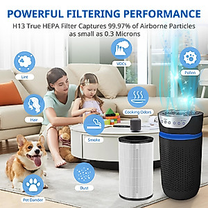 AP-PET35 AP-T30 Replacement Filter Compatible with HoMedics TotalClean Air Purifier Models 5-in-1 AP-T30FL AP-T30WT AP-PET35FL AP-PET35-WT, 360° Filtration 5 Layers 3 in 1 H13 True HEPA Filter