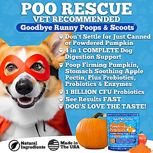 Well Loved Pumpkin for Dogs - Pumpkin Puree, Canned Pumpkin (Alternative), Fiber for Dogs, Probiotic Powder, Pumpkin Powder, Dog Diarrhea, Digestive Support, Perfect for Firm Poops and No Scoots, 6 oz