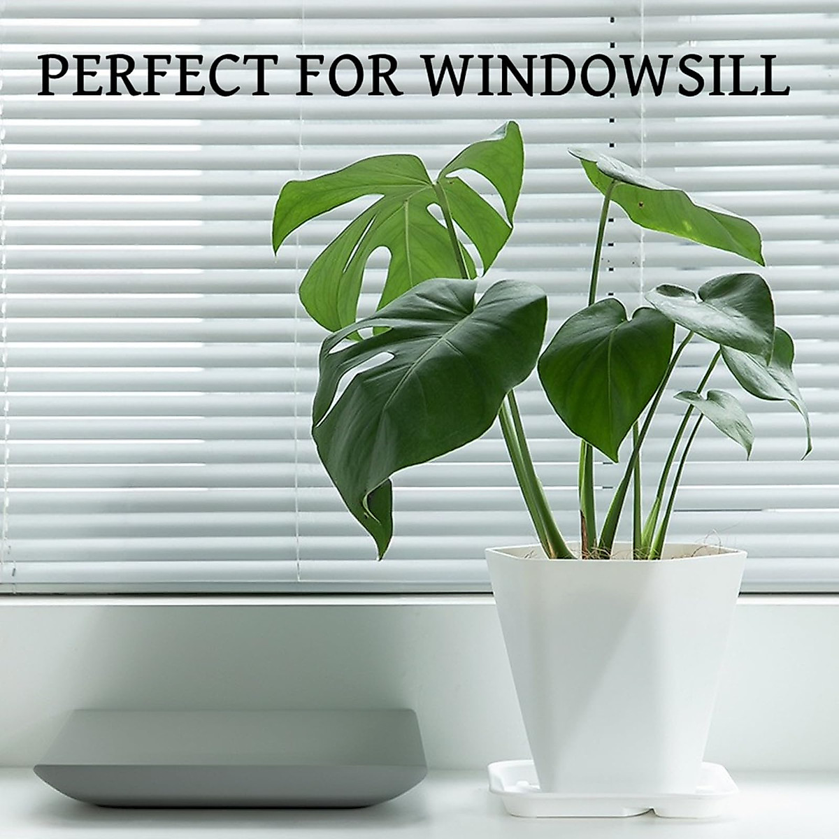 bisenwin Plant Pots Indoor Plastic Flower Pots Outdoor 5 inch Set of 6 Pack with Drainage Holes and Saucers for Garden pots (5 inch 6 pcs)