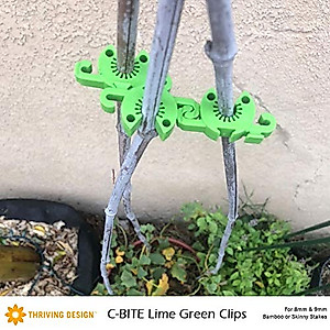 C-BITE Garden Clips Customizable, Reusable, and Strong Connections to Metal or Bamboo Stakes. Create Custom Support Solutions Clips Build Sturdy Tomato Cages, Climbing Vine Trellis (Lime)