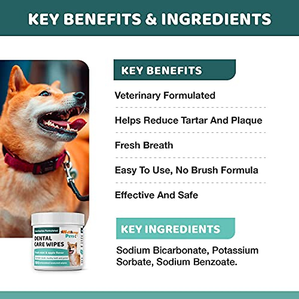 Wellnergy Pets Dental Wipes for Dogs and Cats - No Brush Formula; Improve Oral Hygiene and Health; Freshen Breath; Fresh Mint Flavor. 100 Wipes.