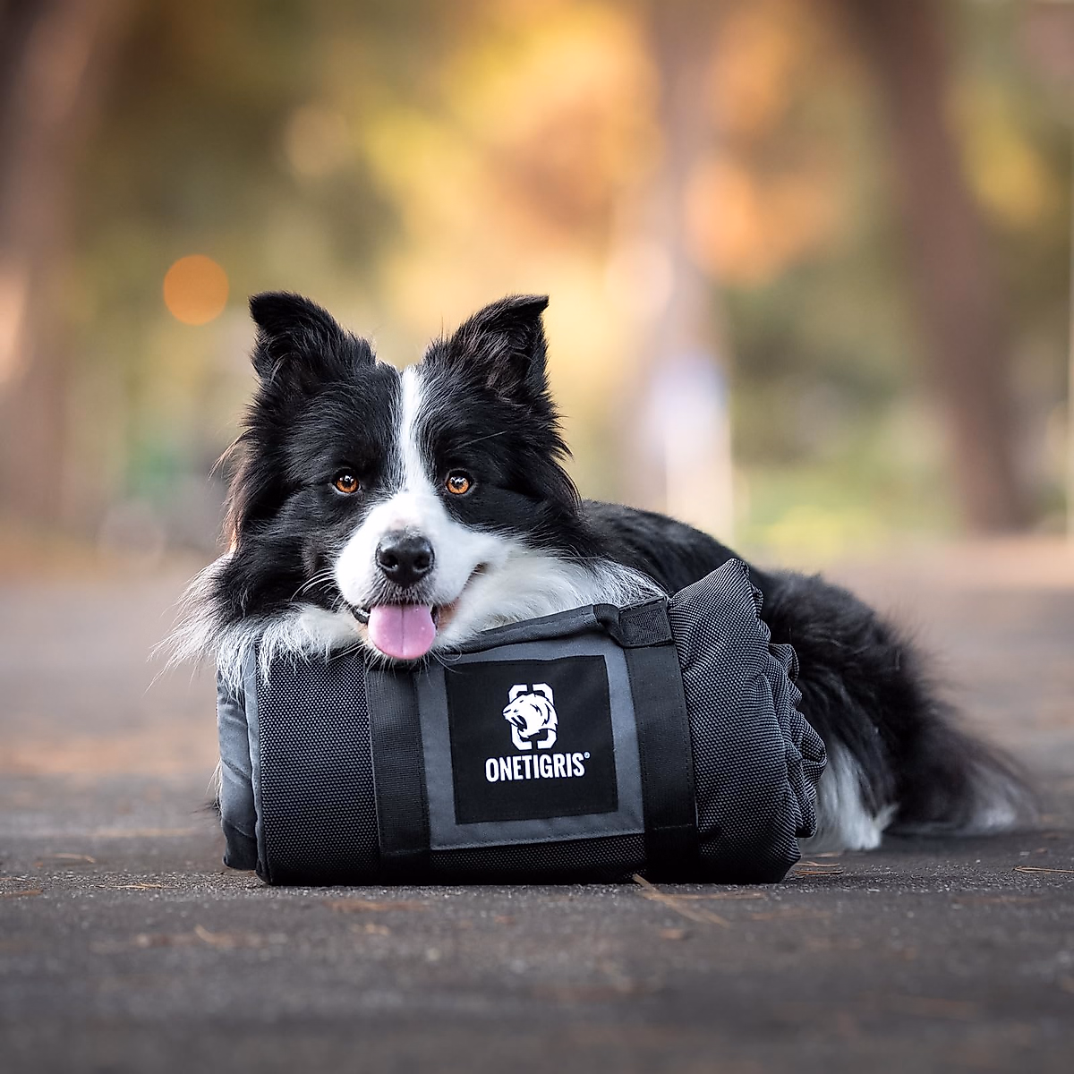 OneTigris Travel Dog Bed - Portable Waterproof Anti-Slip Dog Camping Bed, 3.6ft by 2.2ft Outdoor Indoor Mat Cushioned Plush Warm Puppy Mattresses