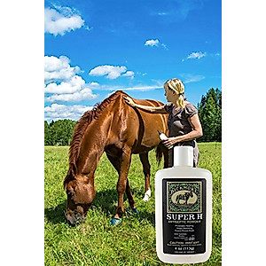 Bickmore Super H Antiseptic Powder for Horses - Quick Healing, Stops Bleeding, Treats Proud Flesh