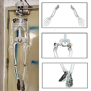36” Halloween Skeleton Full Body Life Like Skeleton Model with Movable Joints for Halloween Decoration