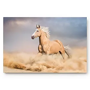 Fandim Fly Funny Indoor Doormat 20 x 31.5 Inches A Horse Running in The Desert Home and Office Decorative Entry Rug Garden/Kitchen/Bedroom Mat