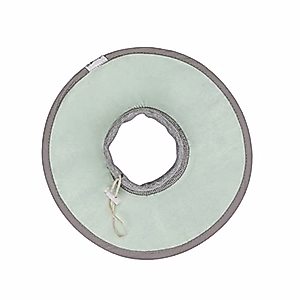 BESPORTBLE 1pc Pet Cat Collar Cat Elizabethan Collar Pet Protective Collar Elizabethan Cone Collar Puppy Dog Cone Pet Costuem Accesseories Dog Surgery Collar Pets Petg Green