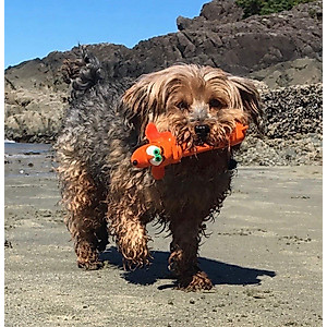 Dachshund - Soft, Squeaky Dog Toy - Natural Rubber (Latex) – Dachshund Gift - for Small Breeds, Medium Dogs - Puppy Toy - Free from Harmful Chemicals - Handpainted