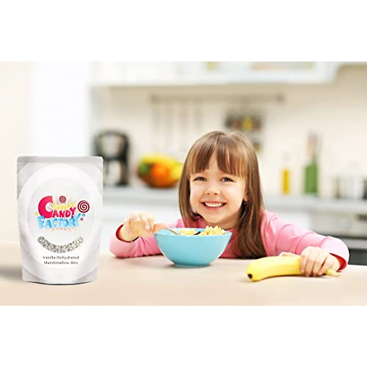 Sarah's Candy Factory Vanilla Mini Dehydrated Marshmallow Bits in Resealable Bag, 1lb