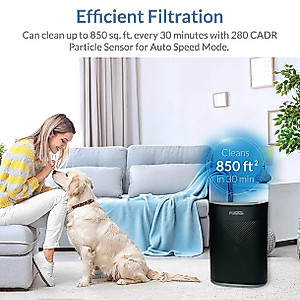 Purafide XP280 Veteran Owned 2-Yr H13 HEPA 3-stage filtration air purifier with Elegant Old Fashion Control Buttons for 1700 Sq Ft Coverage. Home, Bedroom, Pets, Dust (1, Black)