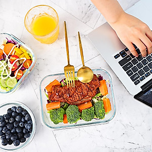 Moretoes 9pcs Glass Meal Prep Container, Glass Food Storage Containers with Lids, Meal Prep Lunch Boxes, Airtight, Glass, Leakproof Containers Set, Glass Food Storage Containers with Lids