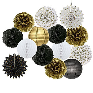 Birthday Decorations Black Happy Birthday Banner Paper Flowers Tissue Paper Pom Poms Paper Lanterns Paper Fans for Birthday Party