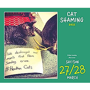 Cat Shaming 2021 Day-to-Day Calendar