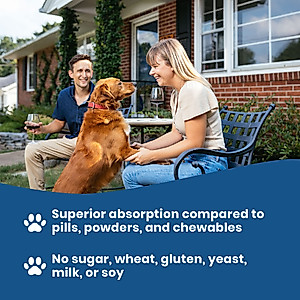 Paramount Pet Health All Natural Concentrated Glucosamine for Large Dogs - 5200mg Glucosamine Chondroitin for Dogs - Dog Joint Supplement & Dog Glucosamine - Dog Hip and Joint Supplement