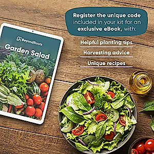 Certified Organic Vegetable Seeds - 9 Heirloom Seeds for Planting Vegetables - Seed Packets & Gift Box - Cherry Tomato, Romaine Lettuce, Broccoli, Cucumber, Radish, Sugar Snap Pea, Arugula, Basil