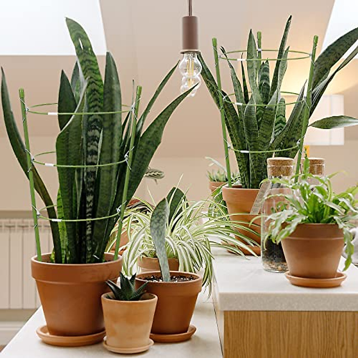 4 Pack Tomato Cage Plant Support Cages for Garden, 18 inches Trellis for Climbing Plants, Upgrade Garden Plant Stakes with Adjustable Ring, Tomato Rings for Support, with Twist Tie