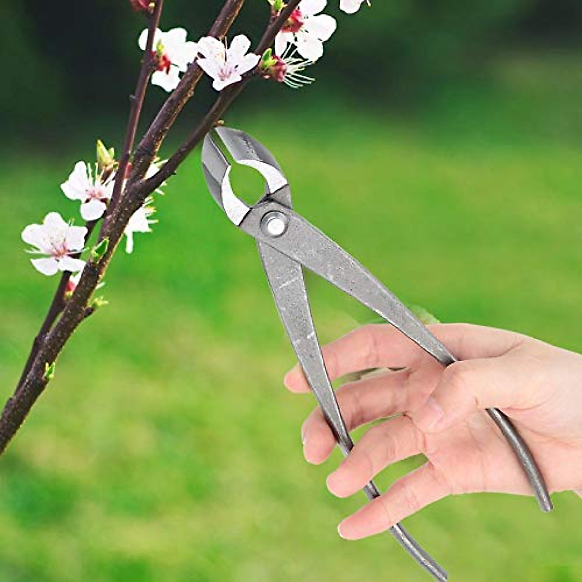 Garden Clippers, Bonsai Pruner Garden Pruning Shear Branch Cutter with Concave Spherical Cutout for Reducing Healing Scars