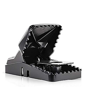 eXuby Large Powerful Rat Traps (4 Pack) - Kills Instantly with Powerful Steel Spring - Setup in Seconds - Wash & Reuse Over & Over - Hands Free Disposal - Rat Control Without Harmful Poisons or Chem