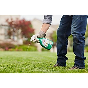 Ortho Max Nutsedge Killer Rtu, 24 fl.oz.