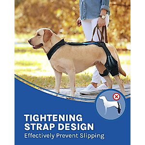 MerryMilo dog knee brace for torn acl hind leg -Upgraded Anti-Slip, Support for Cruciate Ligament Injury, Arthritis, Joint Pain, Muscle Sore, CCL Brace(Size: L, Left Leg)