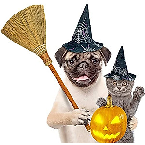 BMart Home Small Natural Whisk Sweeping Hand Handle Broom - Vietnamese Straw Soft Broom for Cleaning - Decoration Items - Indoor - Outdoor - 7.87'' Width, 24.4" Length