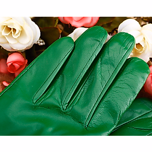 NappaNovum Women's Classic Italian Nappa Leather Gloves Lambskin Winter Comfort Lining Fashion Gloves (Touchscreen or Non-Touchscreen) (M, Green)