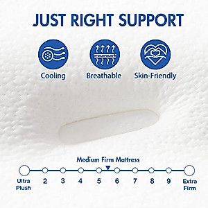 Queen Mattress,10" Memory Foam Hybrid Mattress with Pocket Spring,Medium-Firm Foam Mattress Tight Top Mattress Sleep Motion Isolation, Supportive & Pressure Relief,Queen Mattress-in-a-Box by DIGLANT