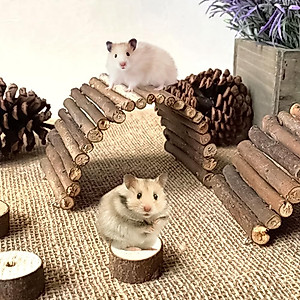 YASYU Hamster Wooden Bridge Bendable,Wooden Bendy Bridge Toys,Wooden Tunnel,Natural Rat Climbing Ladder,Small Animal Cage Accessory for Dwarf Syrian Hamsters Mice Guinea Pig Chinchilla