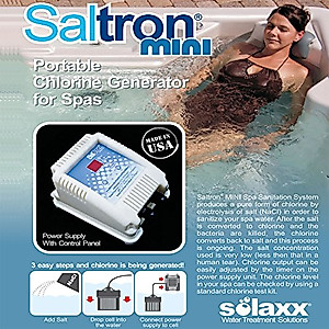 Saltron Mini Salt System Drop-In Saltwater Chlorine Generator for Hot ...