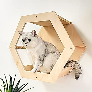 Cat Shelves Cat Wall Shelf and Cat Ladder of 4 Level, Cat Houses Condos for Activity Indoor Cats Furniture Wall Mounted Cat Wall Steps Set with Hexagon Nest Perches 2 PCS Set
