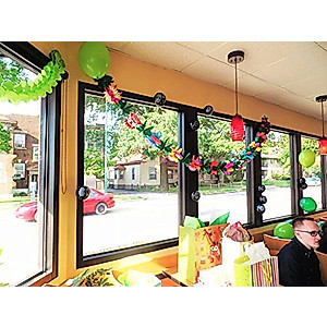 Kinteshun Tissue Flower Garland,Hawaiian Tropical Paper Banner Garland for Luau Beach Theme Party Decoration (2 Packs,Type 2)