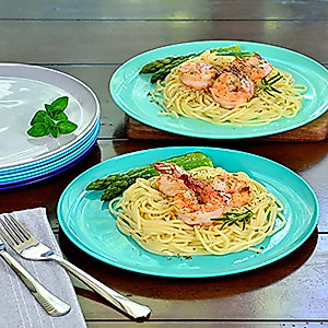 Youngever 10 Inch Plastic Plates, Large Plates, Dinner Plates, Set of 9 (Coastal Color Theme)