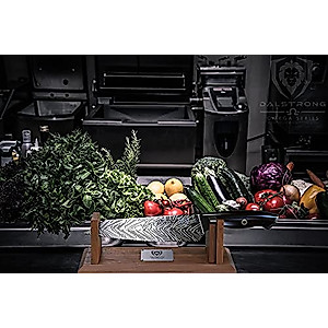 Dalstrong Kitchen Knife, Kiritsuke Chef Knife - 8.5 inch - Omega Series - American BD1N-VX Hyper Steel - Razor Sharp Knife - Acacia Wood Display Stand, Cooking Knife, Collection Set, Leather Sheath