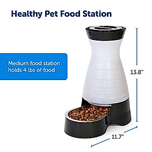 PetSafe Healthy Pet Food Station - Medium, 4 lb Kibble Capacity - Automatic Cat & Dog Feeder - Removable Stainless Steel Bowl Resists Corrosion & Stands Up to Frequent Use - Easy to Fill & Clean