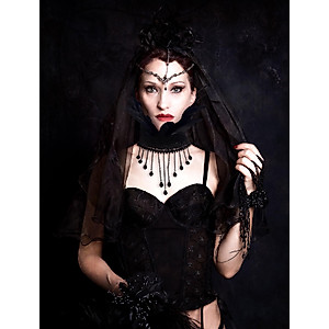 HOMELEX Gothic Victorian Black Natural Feather Collar Choker Halloween Shawl Cape