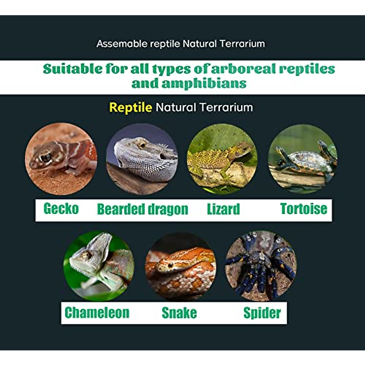 Woyrise 2Pack Reptile Plants, Terrarium Hanging Plants Vines Artificial Leaves Habitat Decorations with Suction Cup for Bearded Dragon Lizard Snake Geckos Chameleon Hermit Crab