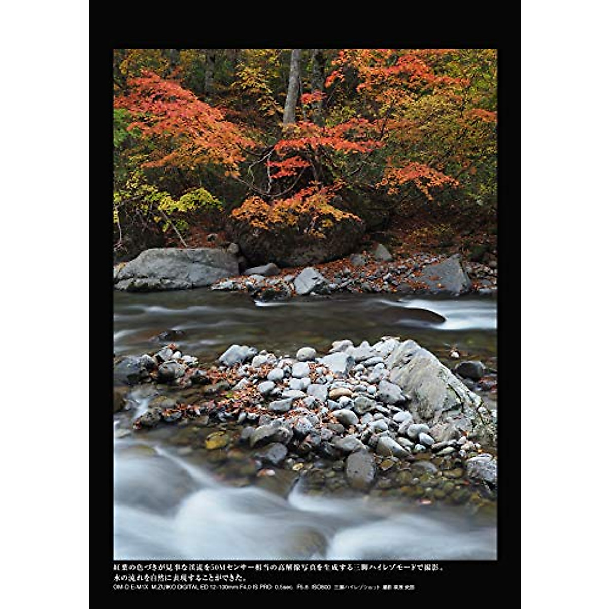 OLYMPUS Mirrorless DSLR OM-D E-M1X Body