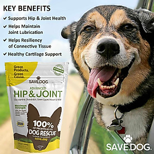 SAVE.DOG Chewable Hip and Joint Supplement for Dogs - with Glucosamine for Dogs Joint Pain Relief - Chondroitin MSM and Green Lipped Mussels for Dogs - Dog Supplement with a Cause (60 Chews)
