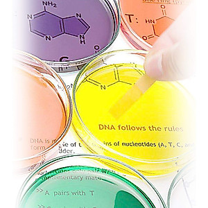 Young4us Petri Dish Set with Lids, 12 Pack Sterile Petri Plates in 3 Sizes with 12 Pack 3ml Plastic Dropper Pasteur Pipettes for Lab, Experiment, Biology, Microbiology Studies (Pack of 24)