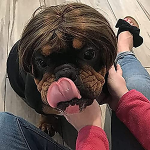 DooMase Funny Pet Clothing Pet Wig Pet Halloween Special Events Costume for Dog & Cat (Flaxen Wig, One Size)