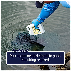 Natural Waterscapes Pond Dye - Midnight Blue Super Concentrate- 1 Quart Treats 1 Acre up to 6 Feet Deep, Dark Natural Looking Blue Pond Dye- Mix of Bright Blue Dye and Black Dye (1)
