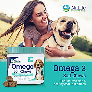 Omega Skin and Coat Chews for Dogs, Wild Salmon Dog Treats with Biotin & Vitamin E, Helps with Itchy Skin, Allergy Relief & Shedding, Omega 3 6 9, EPA & DHA Fatty Acids, Made in USA, 120 Chews