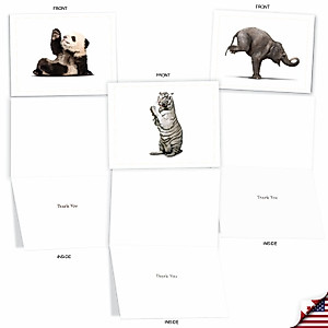 The Best Card Company - 10 Boxed Thank You Notes w/Envelopes, Assorted Stationery to Say Thanks for Men and Women - Zoo Yoga M6547TYG