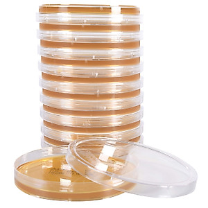 Lactobacilli MRS Agar, for The Cultivation of Lactobacillus Spp, 15x100mm Plate, Order by The Package of 10, by Hardy Diagnostics