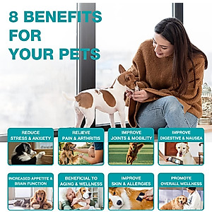 Hemp Oil for Cats and Dogs (3 Packs) Pet Hemp Drops Helps Anxiety Stress Pain Holistic Inflammation Skin Allergies Relief Joint Hip Аrthritis Sleep Aid Calm Tincture Oils, Organic Extract Treats