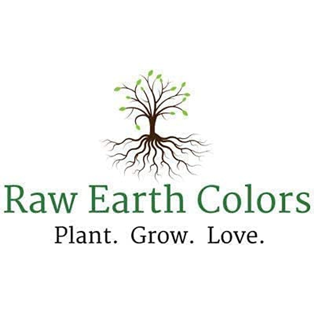 Dwarf Sunflower Seeds for Planting